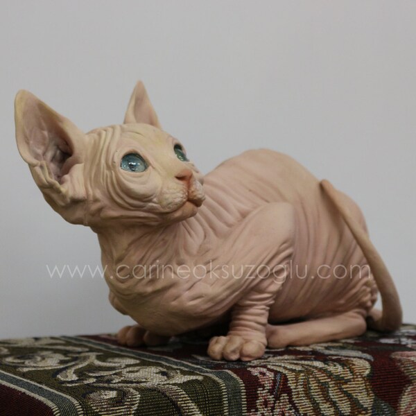 Sphynx Cat Art - Etsy