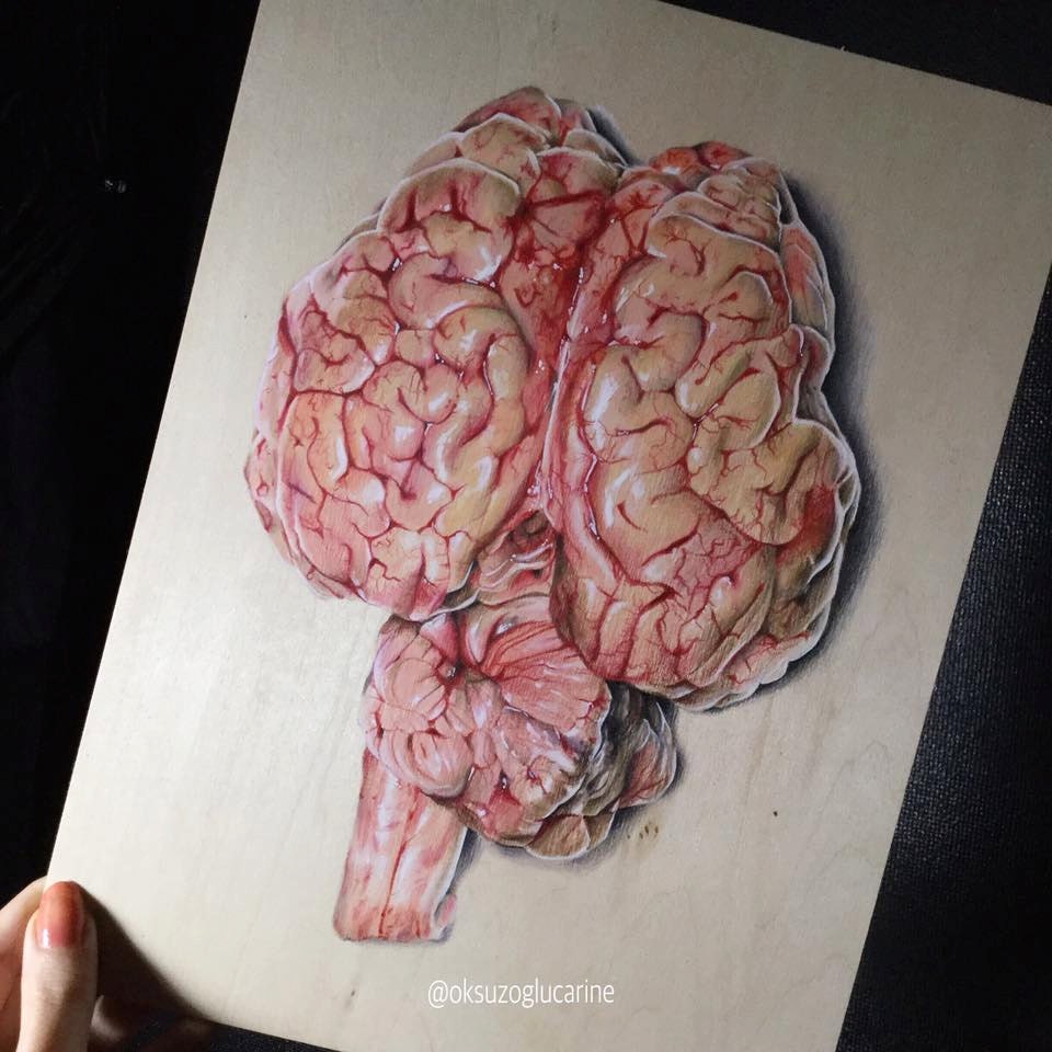 Red Brain Drawing