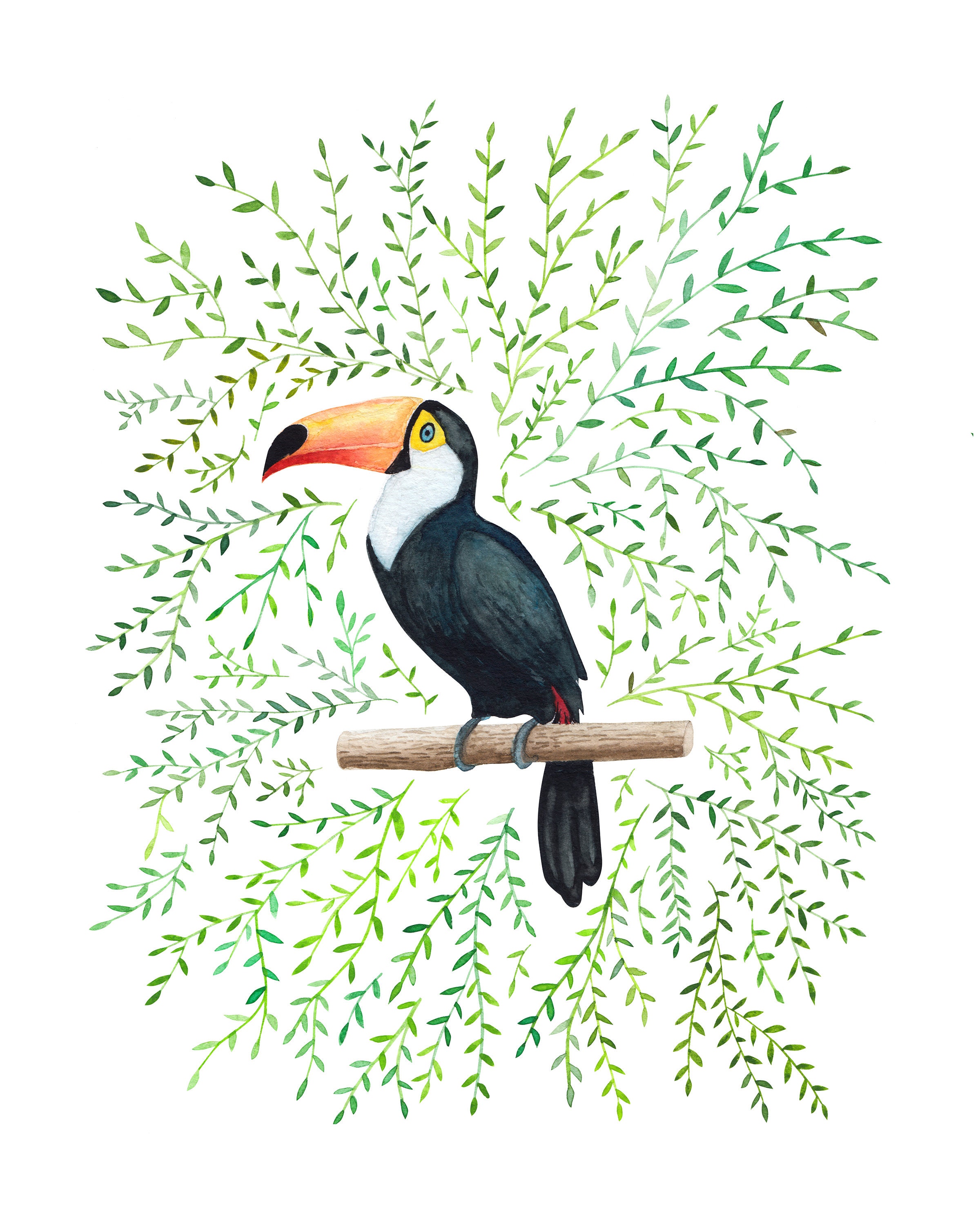 Toucan Print, Toucan Art Print, Toucan Art, Tropical Bird Art, Exotic ...