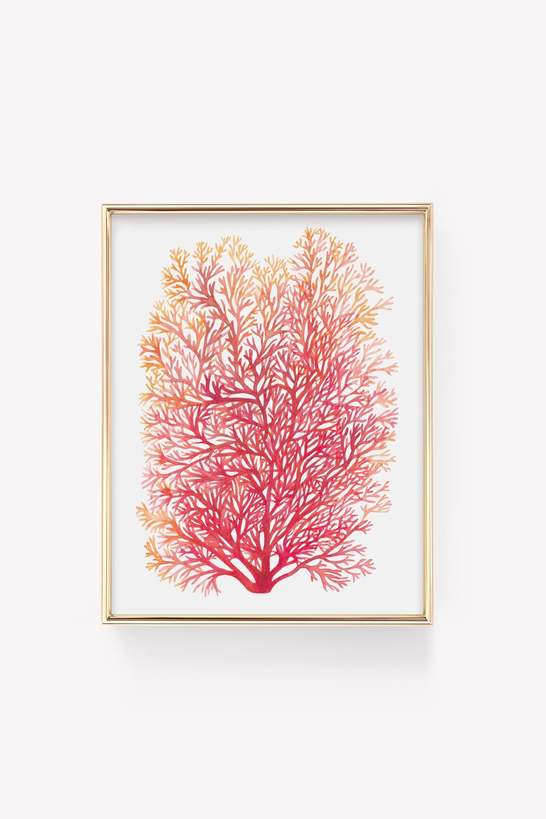 Coral Print, Coral Decor, Coral Reef Art, Red Coral Wall Art - Etsy