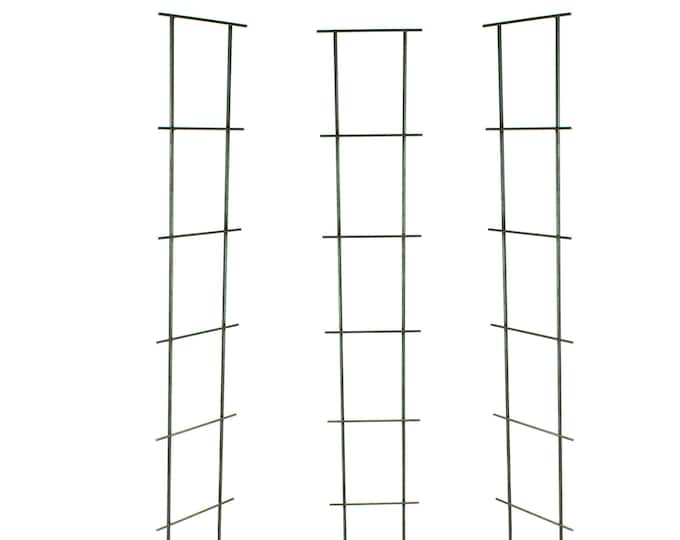 Set of 3 Large Steel Trellises. Garden Plant Vine Trellis. - Etsy