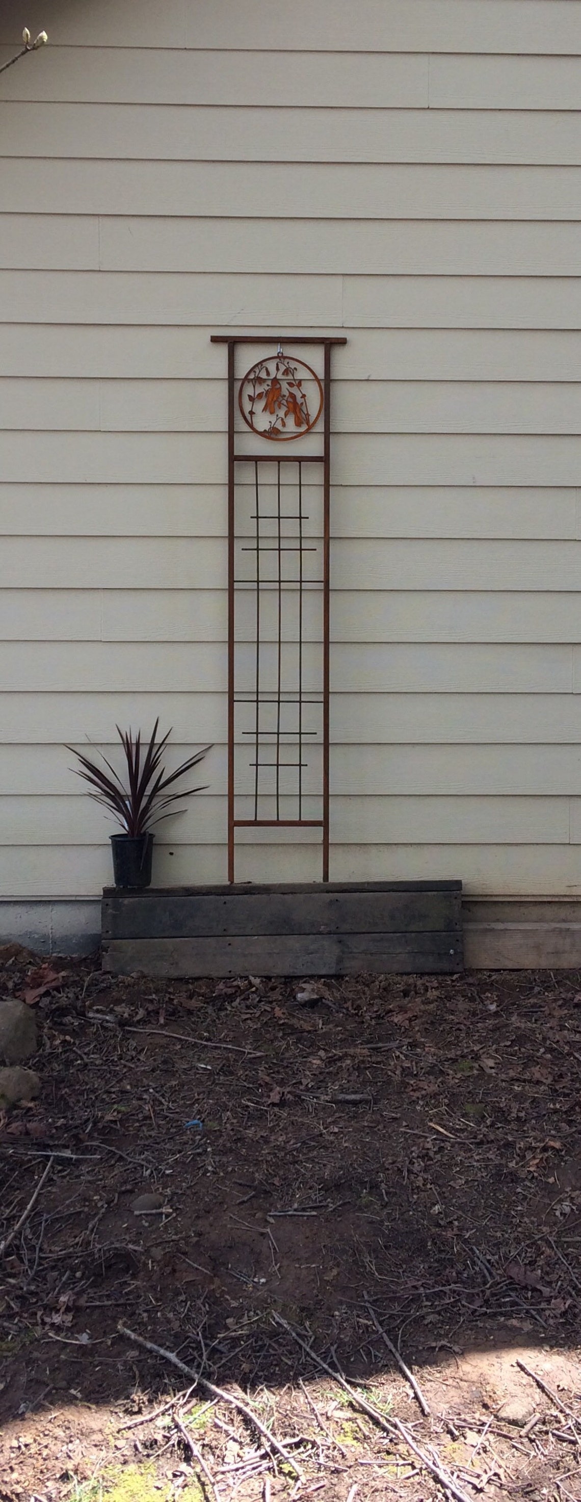 Hummingbird Garden Trellis Plant & Vines for Climbing - Etsy