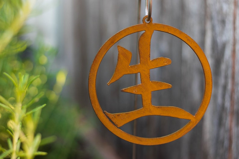 Kanji Symbol for Life Japanese Kanji Japanese Oriental - Etsy