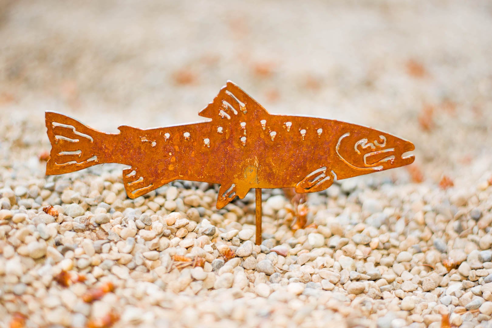 Rainbow Trout Stake | Small Metal Fish Garden Stakes | GP185 - Etsy