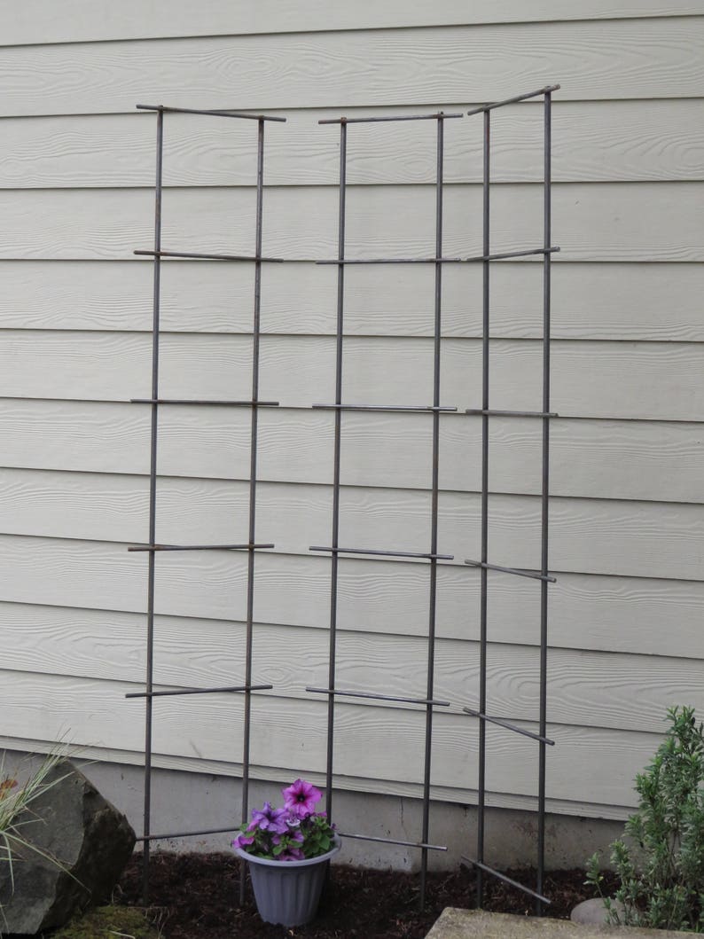 Set of 3 Large Steel Trellises. Garden Plant Vine Trellis. Lattice ...