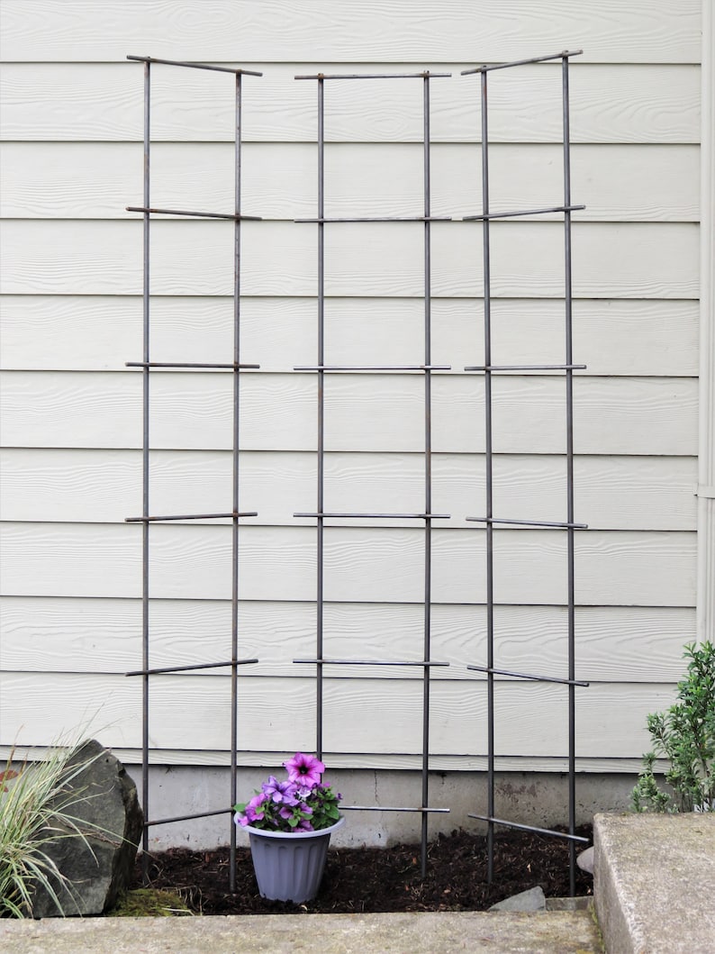 Set of 3 Large Steel Trellises. Garden Plant Vine Trellis. Lattice ...