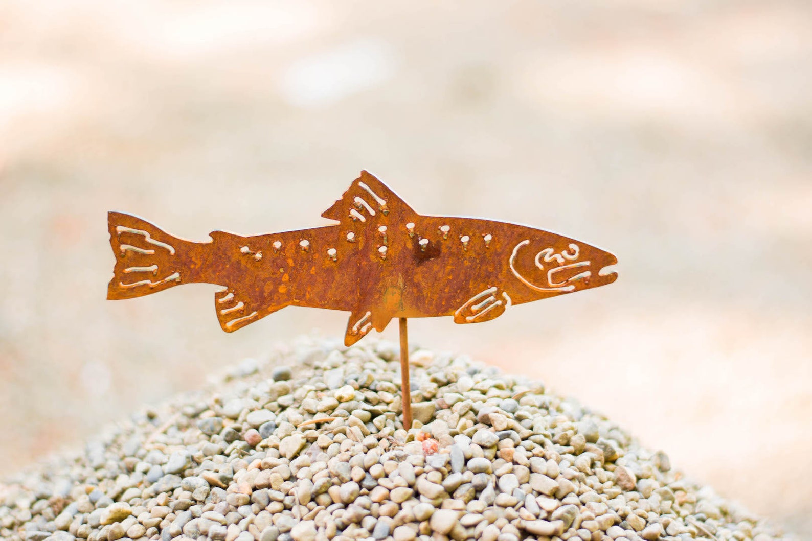 Rainbow Trout Stake | Small Metal Fish Garden Stakes | GP185 - Etsy