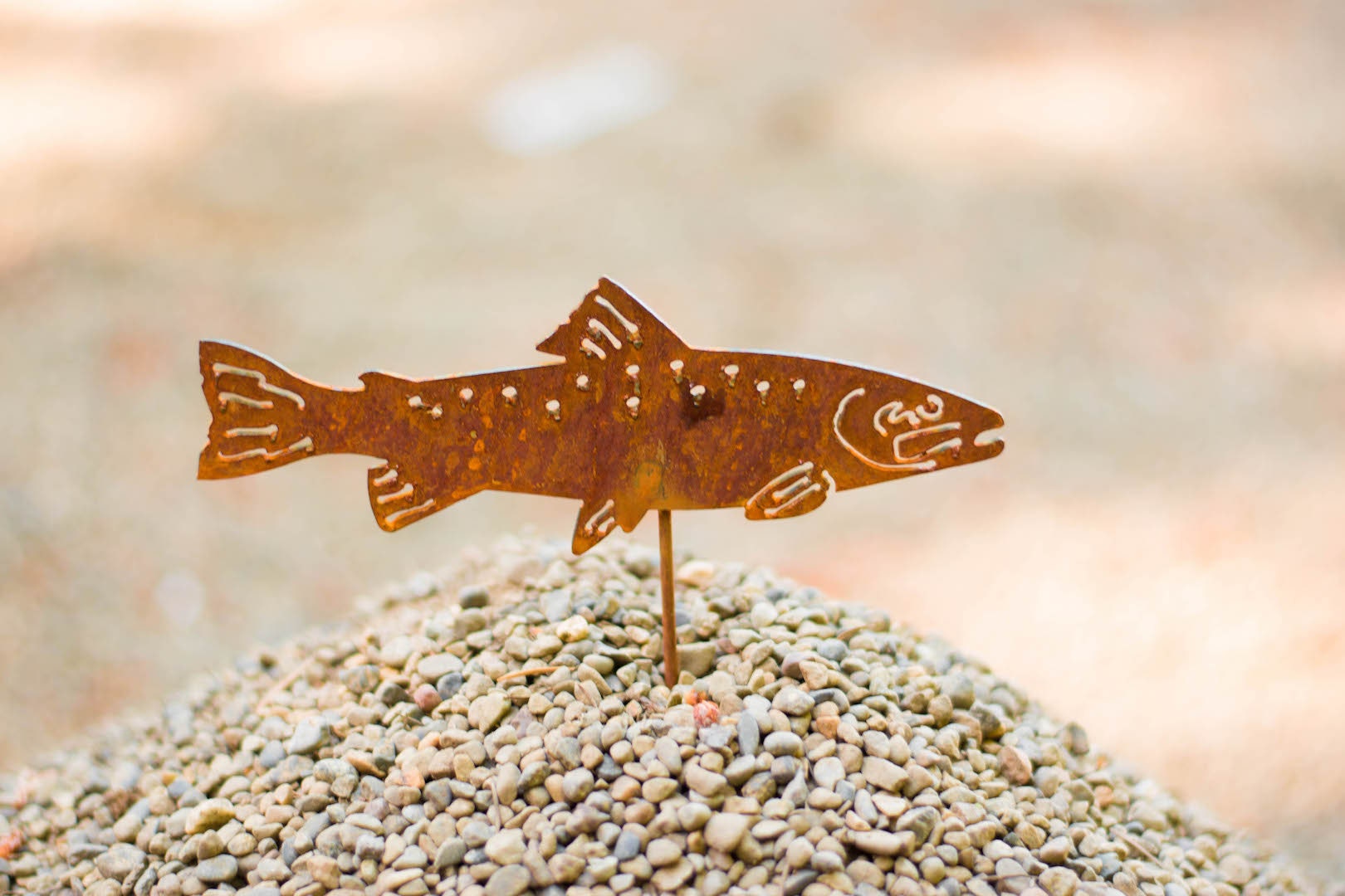 Rainbow Trout Stake | Small Metal Fish Garden Stakes | GP185 - Etsy