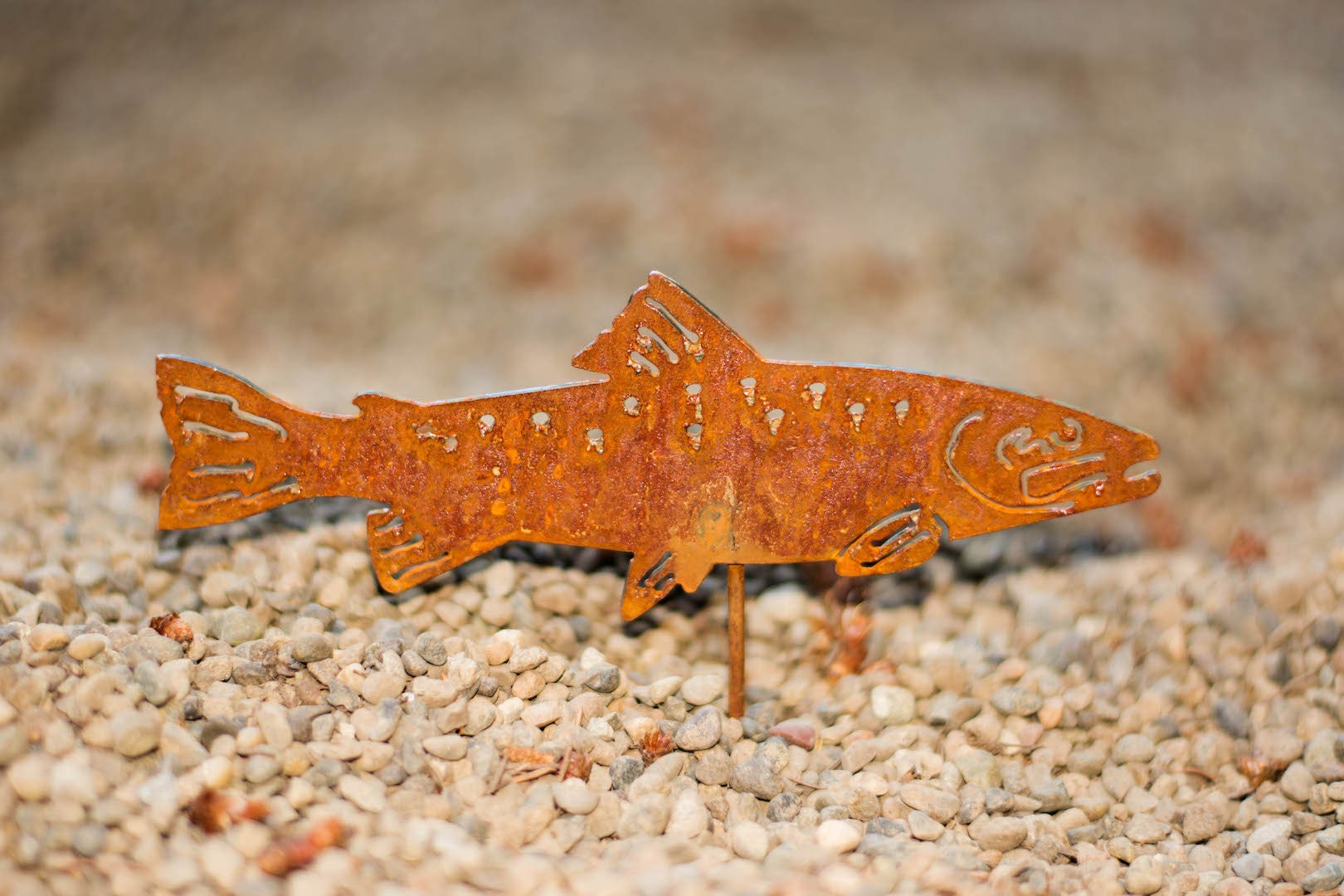 Rainbow Trout Stake | Small Metal Fish Garden Stakes | GP185 - Etsy