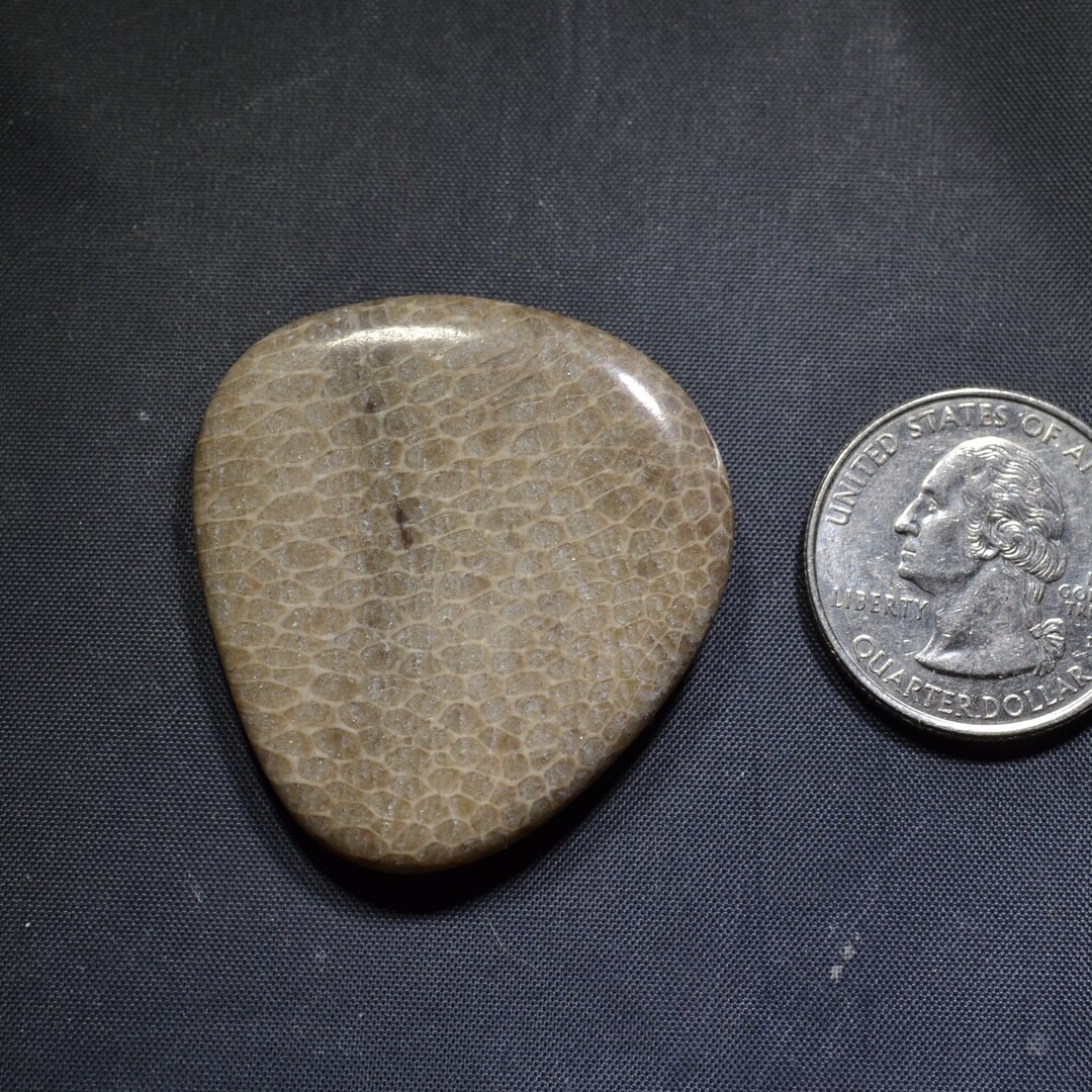 Charlevoix favosite Stone Free Form Cabochon - Etsy