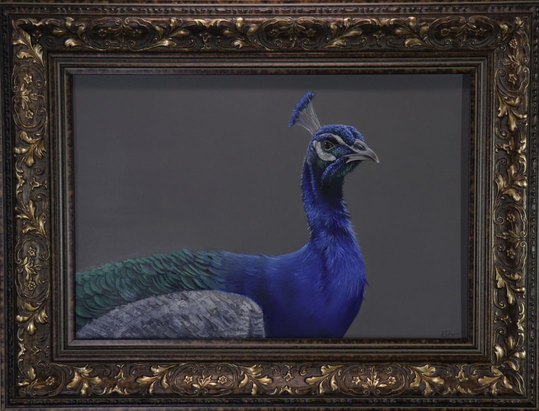 Peacock Portrait, Original Not Print, Wall Decor Traditional Bird Lover ...