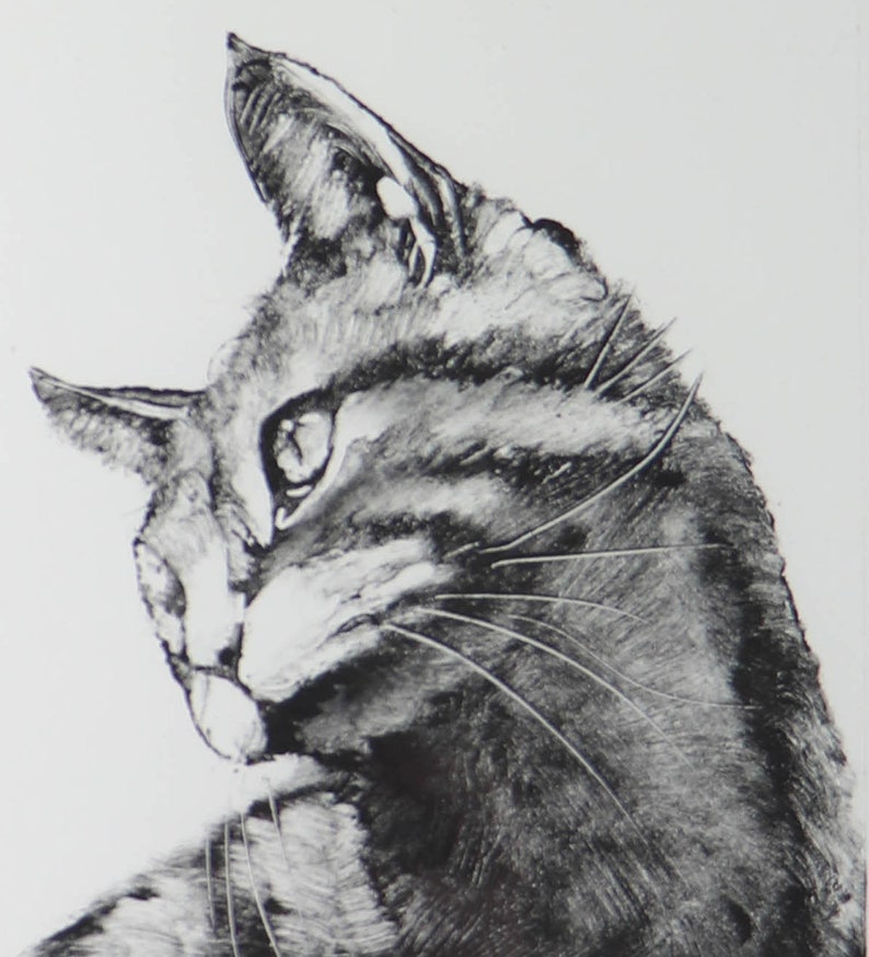 Cat Monoprint Framed, Monotype Printmaking by A. Jabore, Animal Artwork Wall Art, Pet ...