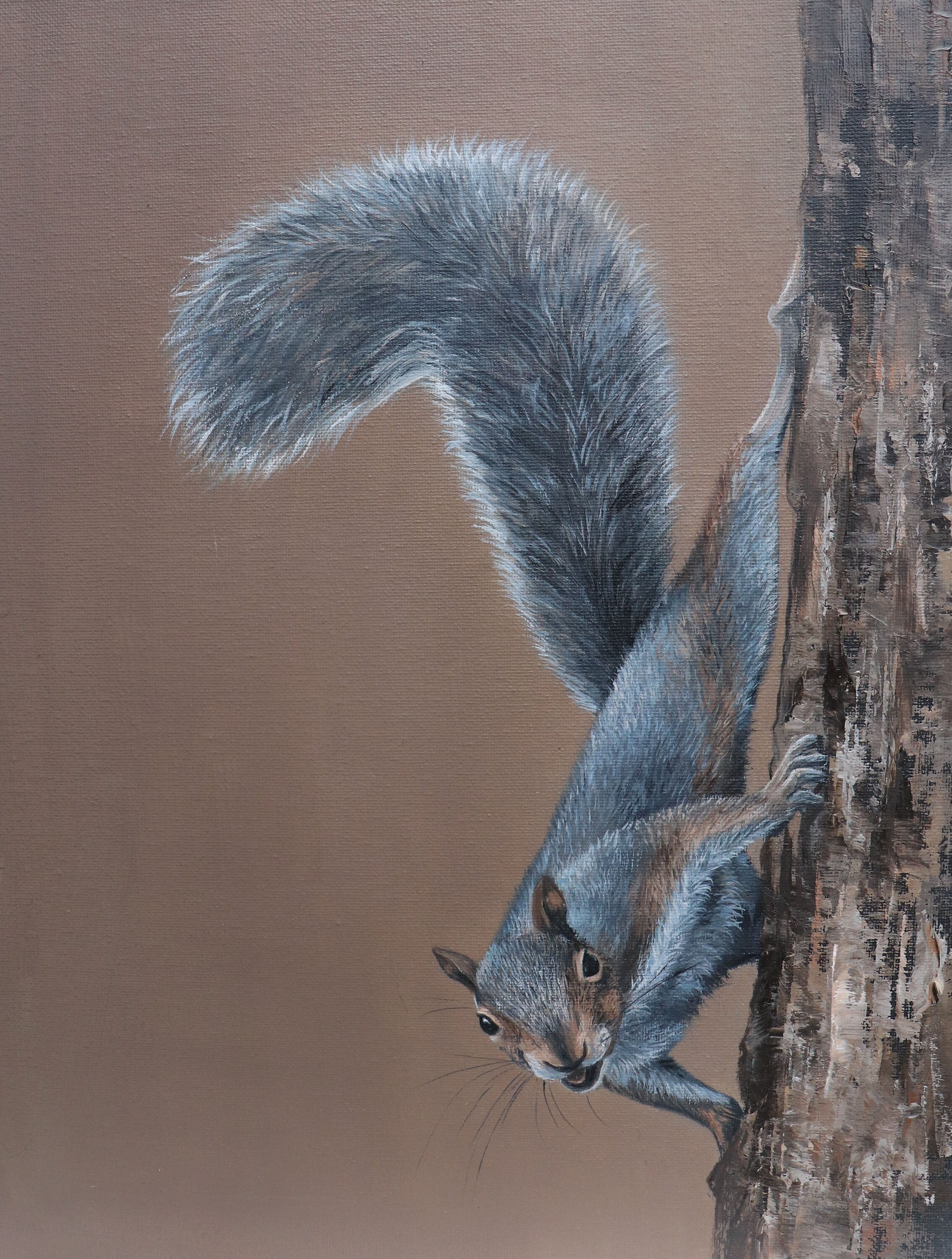 The Squirrel Oil Painting, Wildlife Art, Original Artwork Nature - Etsy