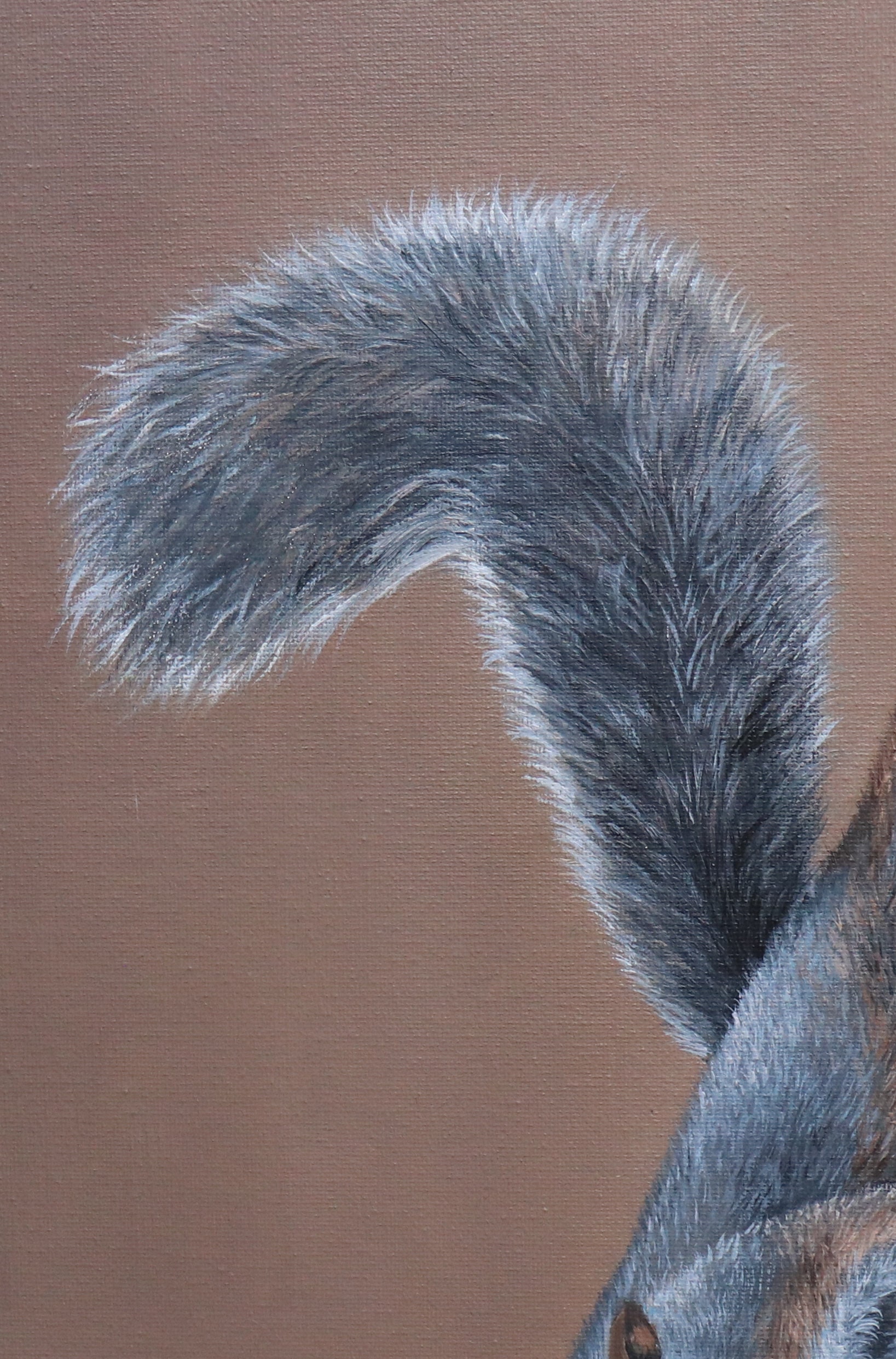 The Squirrel Oil Painting, Wildlife Art, Original Artwork Nature - Etsy
