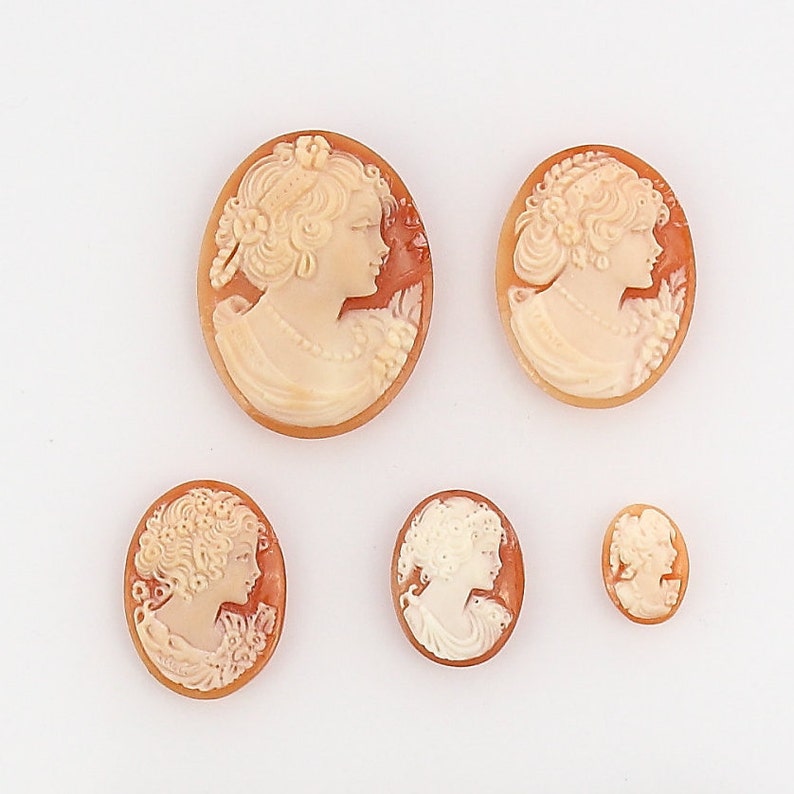 Loose Shell Cameo Italian Cameo Carved Red Shell Gorgeous | Etsy