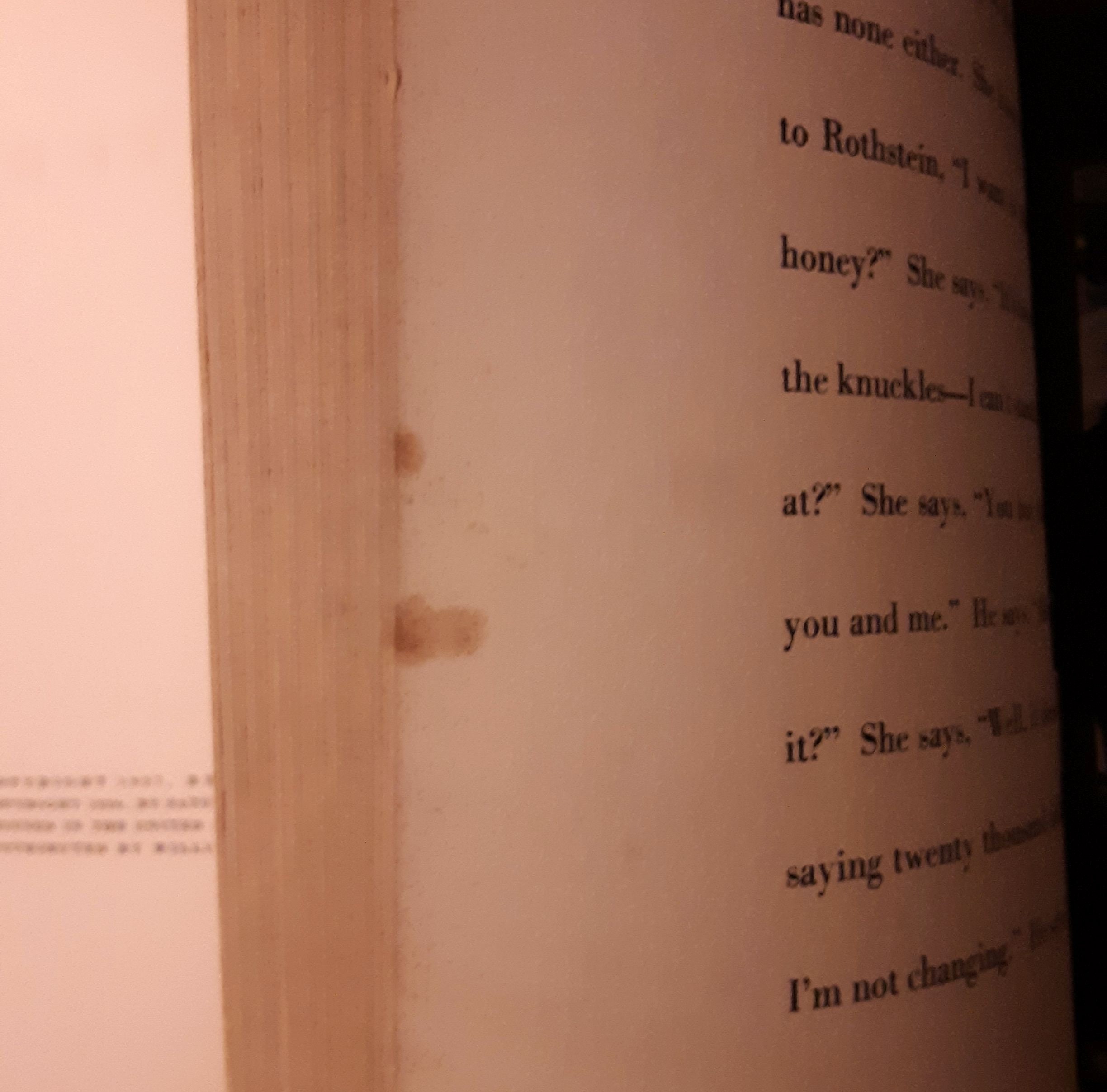 IN PICTURES A Hollywood Satire Will Connell 1937 Hardcover - Etsy