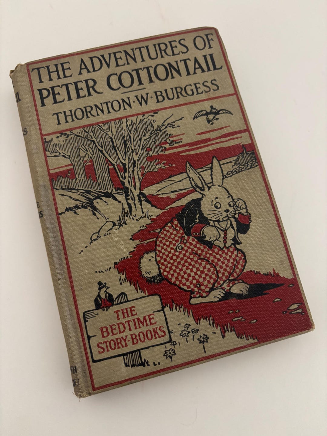 1920 the Adventures of Peter Cottontail – Thornton W. Burgess ...
