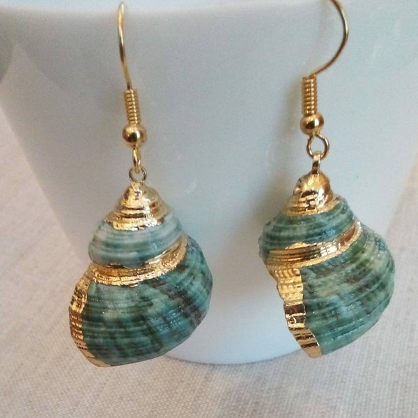 Gold Shell Earrings - Etsy