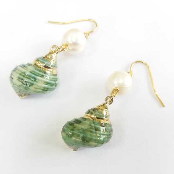 Real Seashells - Etsy