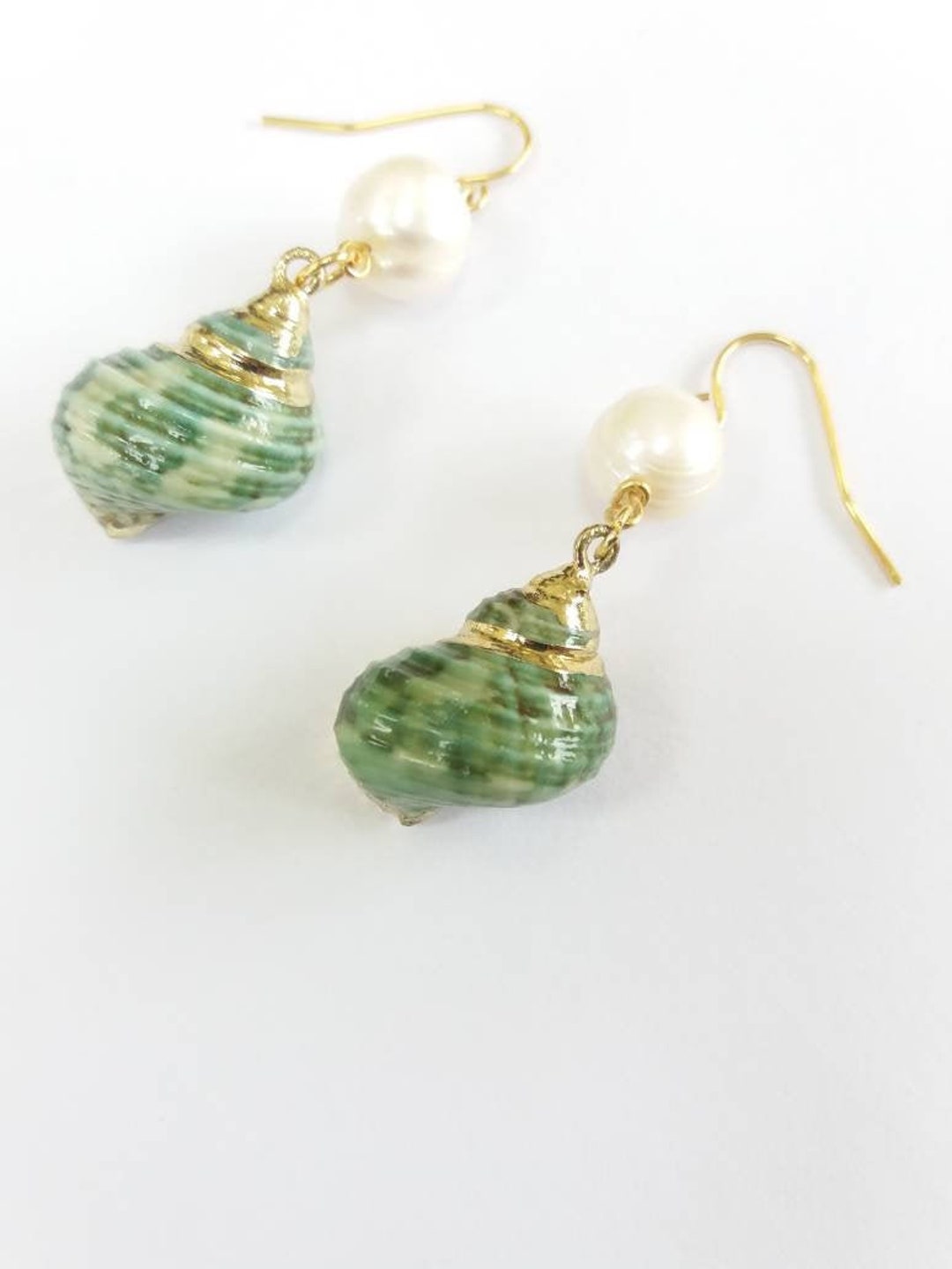 Gold Seashell Real Sea Shell Earrings Sea Shell Jewelry Gold Plated ...