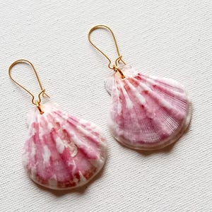 Real Shell Earrings Gold Shell Earrings Gold Plated Shell Earrings ...