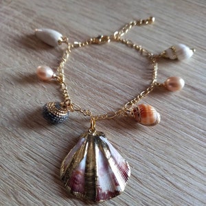 Real Shell Bracelet Gold Shell Bracelet Gold Plated Shell Bracelet ...
