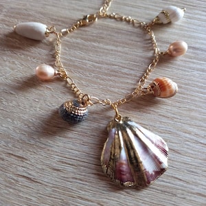 Real Shell Bracelet Gold Shell Bracelet Gold Plated Shell Bracelet ...