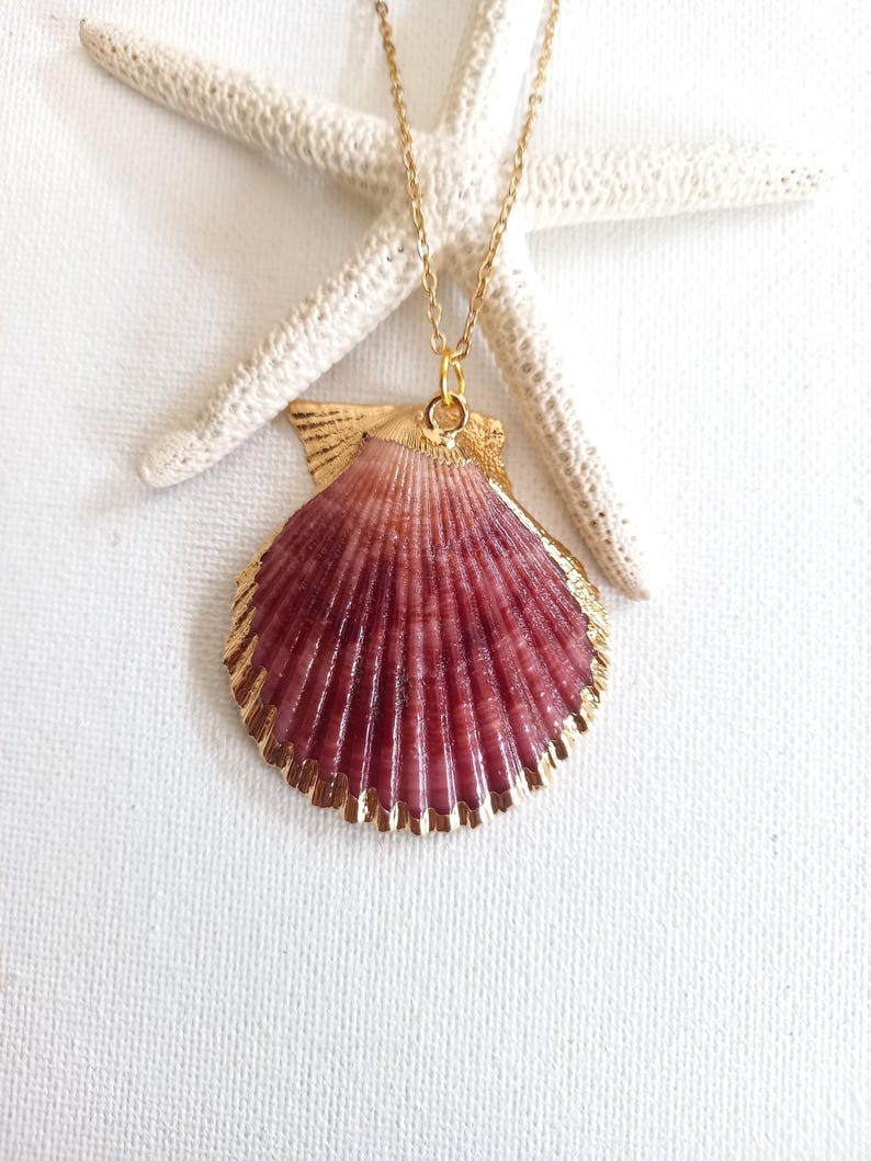 Gold Plated Shell Gold Shell Jewelry Gold Shell Necklace Gold Sea Shell ...