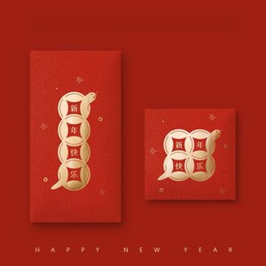 Set of 10 - CNY Red Packet - Year of the Snake - 2025 Chinese New Year ...