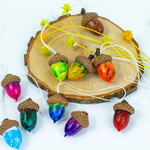 Hand Painted Multi-colored Acorns Set of 10/20/30 Natural Acorns Fall ...