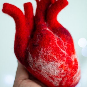 Anatomical Heart Felted Human Heart Valentines Day Gift Gift for Her ...