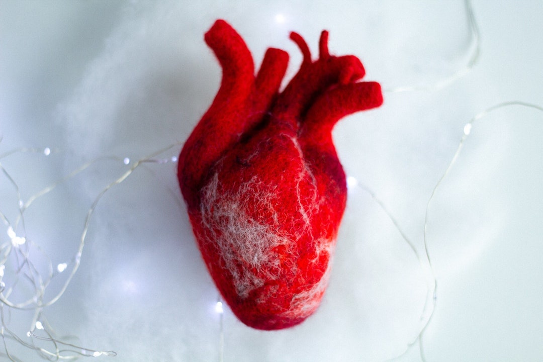 Anatomical Heart Felted Human Heart Valentines Day Gift Gift for Her ...