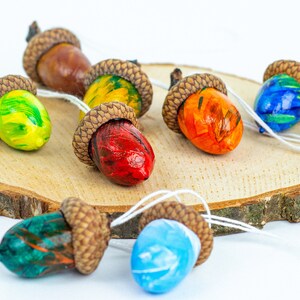 Hand Painted Multi-colored Acorns Set of 10/20/30 Natural Acorns Fall ...
