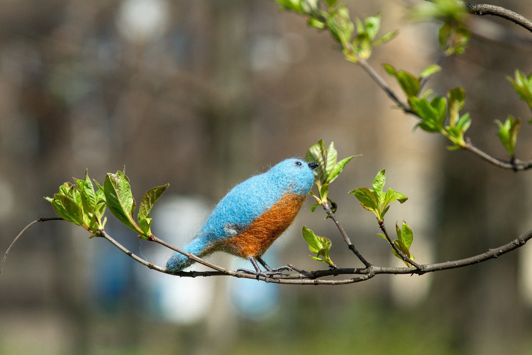Needle Felted Bird, Wool Bird, Needle Felted Bluebirds, Wool Bird ...