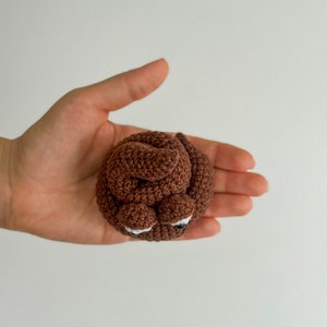 Handmade Crochet Poop, Funny Poop Gifts, Positive Gift for Family and ...