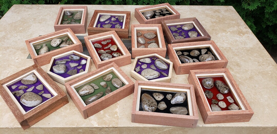 Small Mahogany Pine Shadow Box With Petoskey Stone Inlay - Varying ...