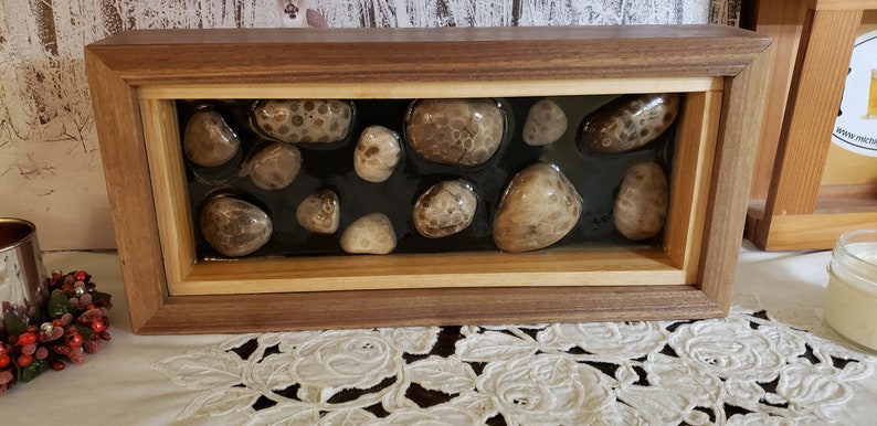 Walnut Shadow Box With Petoskey Inlay #21-085 - Etsy