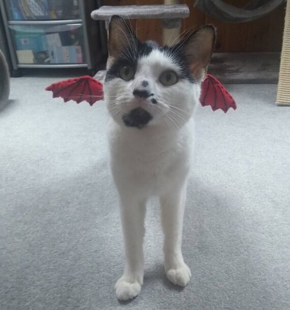 Devil Cat Costume