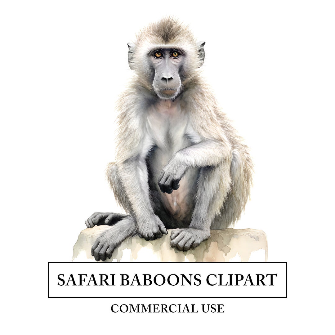 Safari Baboon Clipart 12 High Quality Jpgs Wild African Nature Animal ...