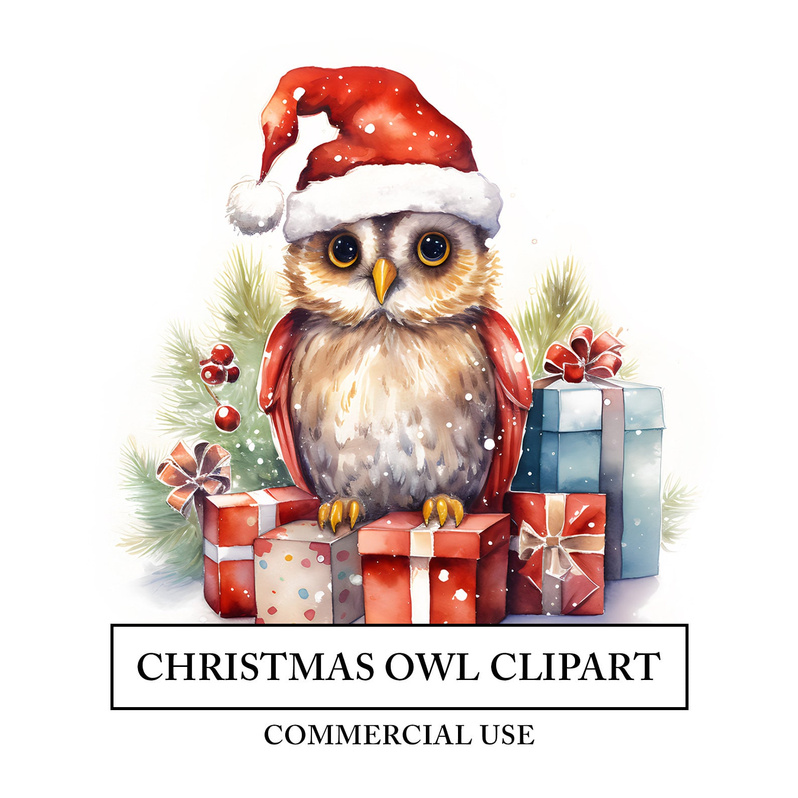 Christmas Owl Clipart 12 High Quality Jpgs Watercolor Santa Claus Art ...