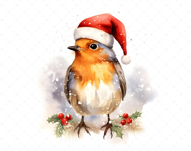 Christmas Robin Clipart 8 High Quality Jpgs Enchanting Festive Winter ...