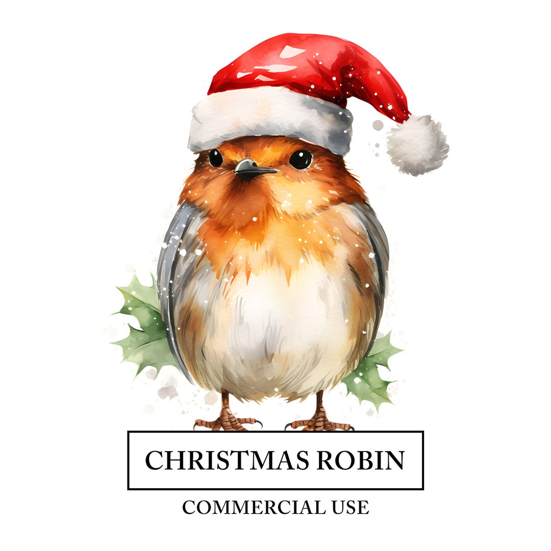 Christmas Robin Clipart 8 High Quality Jpgs Enchanting Festive Winter ...