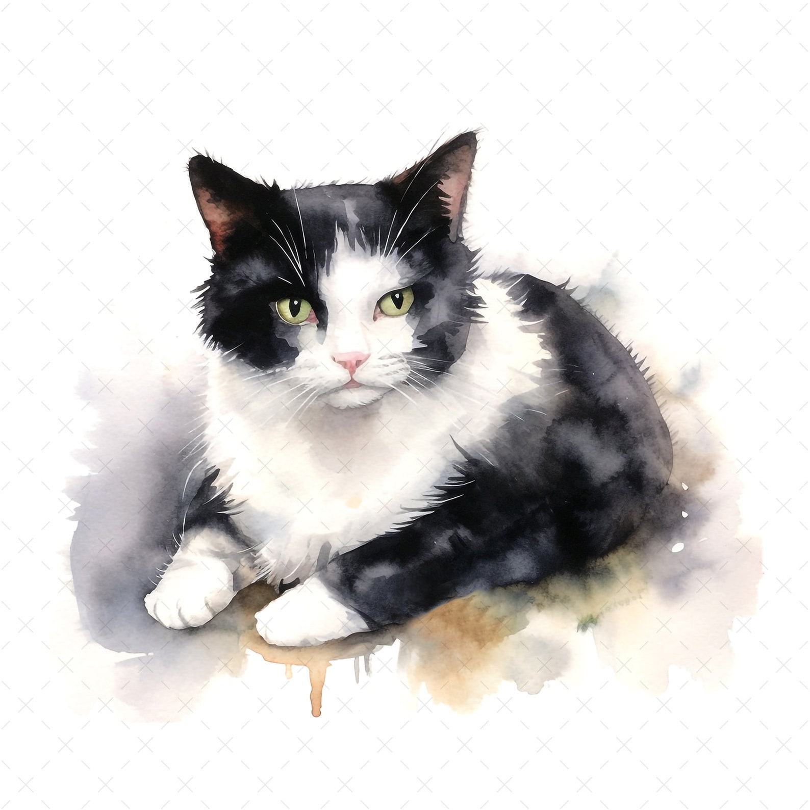 Black & White Cats Clipart 10 High Quality Jpgs Playful Kitten ...