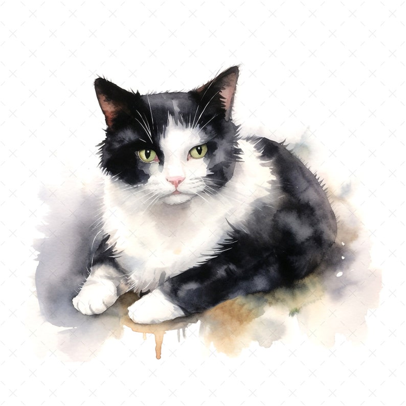 Black & White Cats Clipart 10 High Quality Jpgs Playful Kitten ...