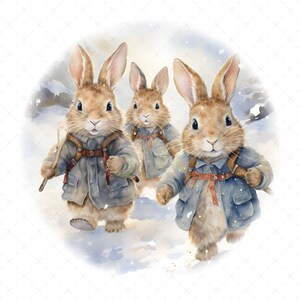 Rabbit & Friends Clipart 8 High Quality Jpgs Fairytale Christmas Animal ...