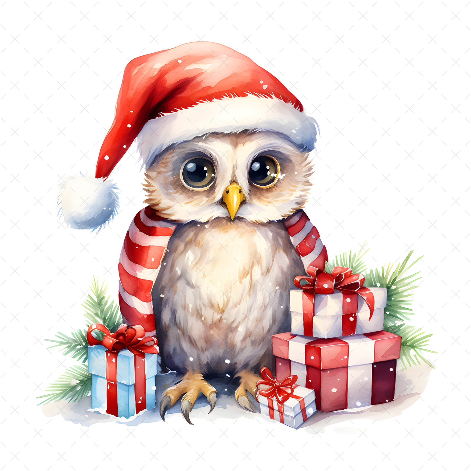 Christmas Owl Clipart 12 High Quality Jpgs Watercolor Santa Claus Art ...