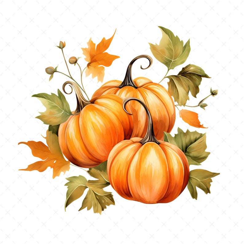 Pumpkins Clipart 13 High Quality Jpgs Halloween Autumn Orange Vegetable ...