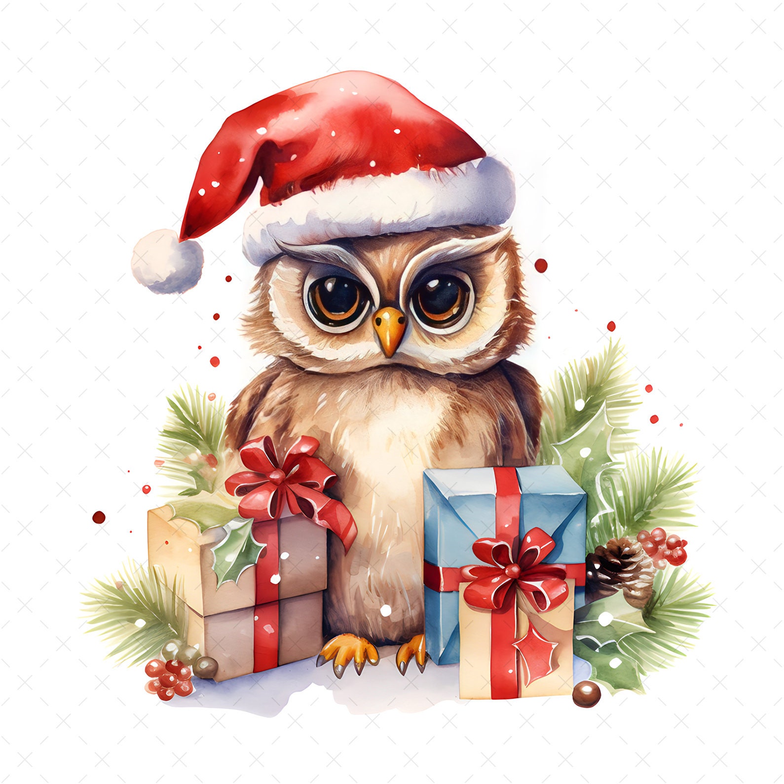 Christmas Owl Clipart 12 High Quality Jpgs Watercolor Santa Claus Art ...