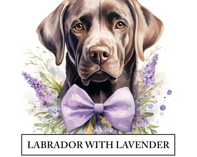 Labrador With Lavender Clipart 8 High Quality Jpgs Purple Flower ...