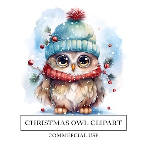 Christmas Owl Clipart 12 High Quality Jpgs Winter Gift Scene Watercolor ...